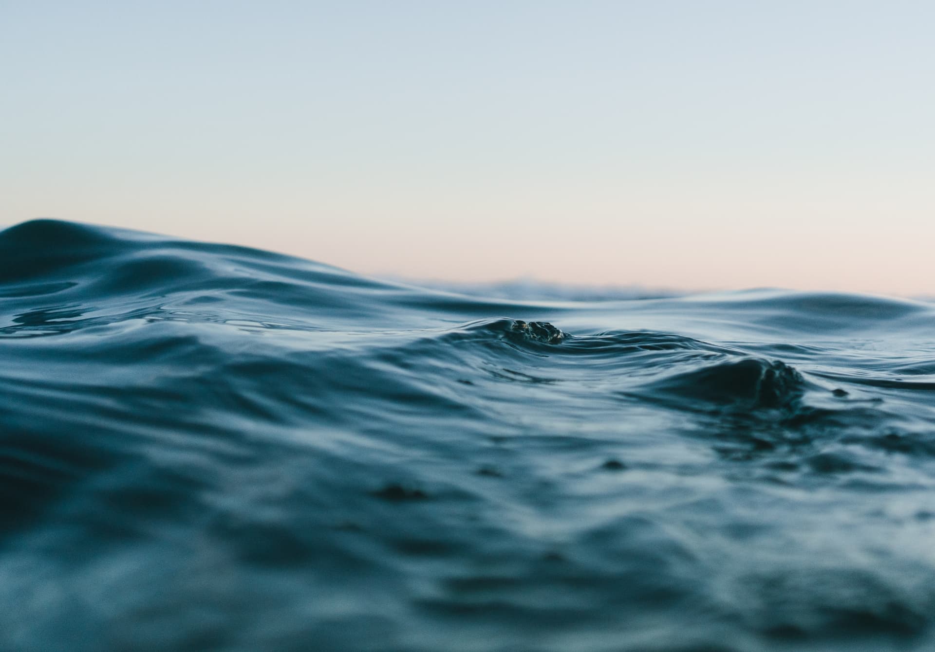 Swimming Wide Bay | Open Water Championships